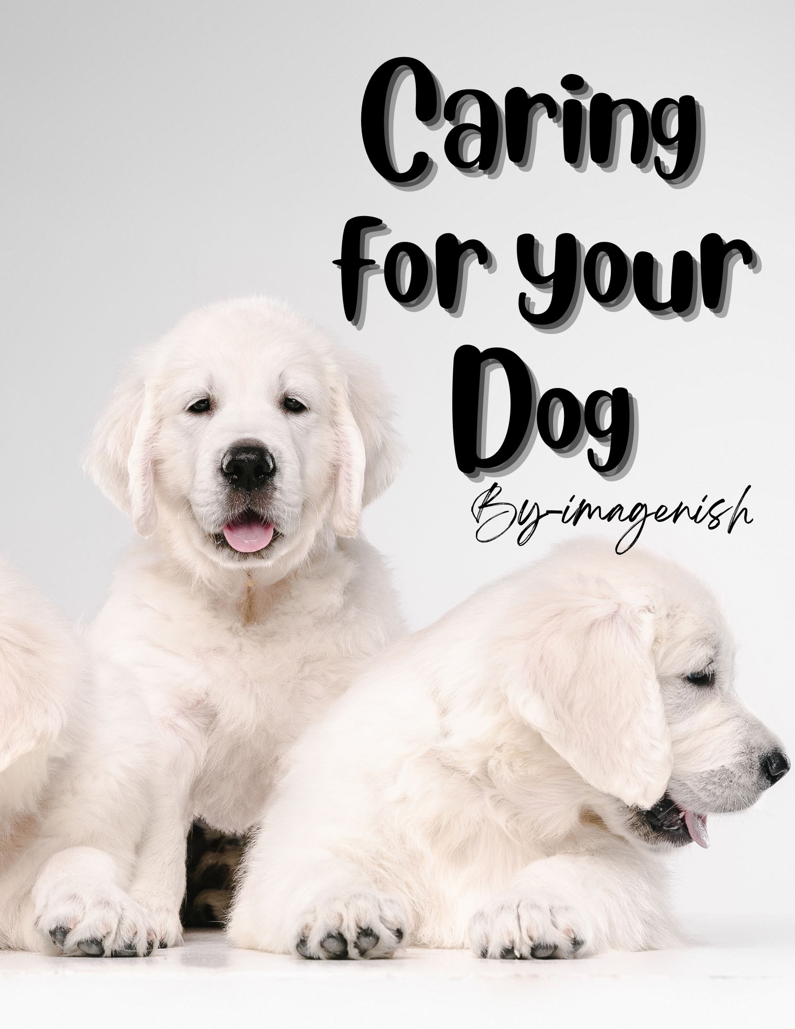 Caring For Your Dog - Imagenish