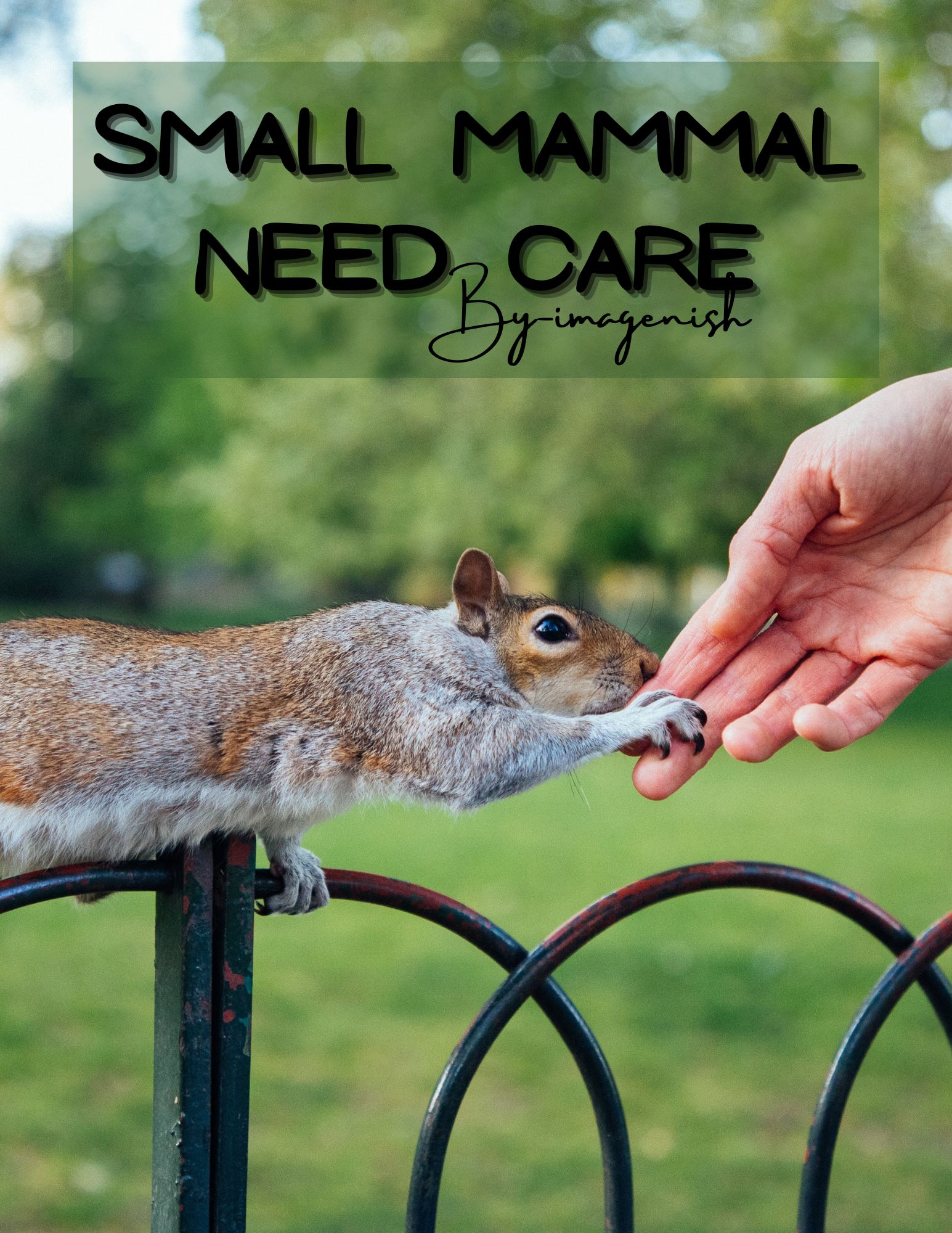 Small Mammal Need Care - Imagenish