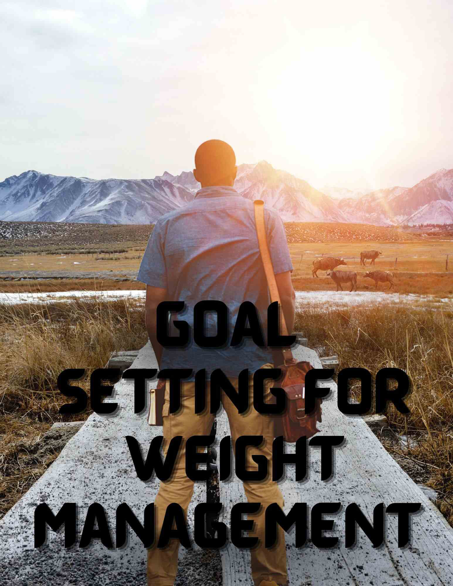 Goal Setting For Weight Management - Imagenish